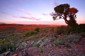A Guide to Traveling The Karoo Desert in South Africa