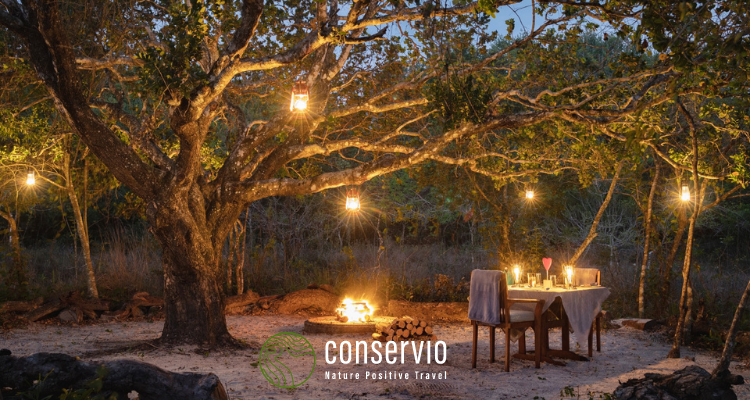 Treehouse Accommodation Across South Africa