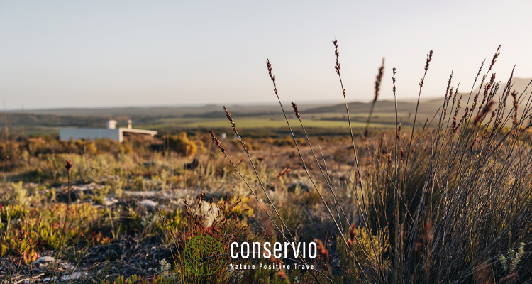 The Overberg Western Cape: Travel Guide