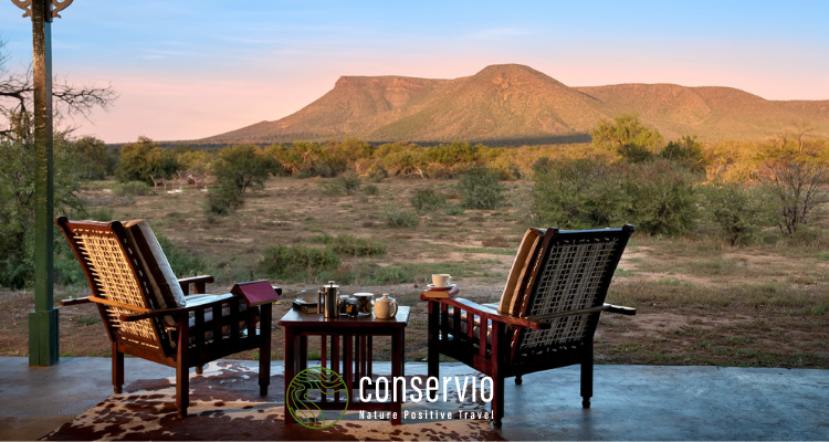 Samara Karoo Reserve Spotlight: An Eastern Cape Safari Haven